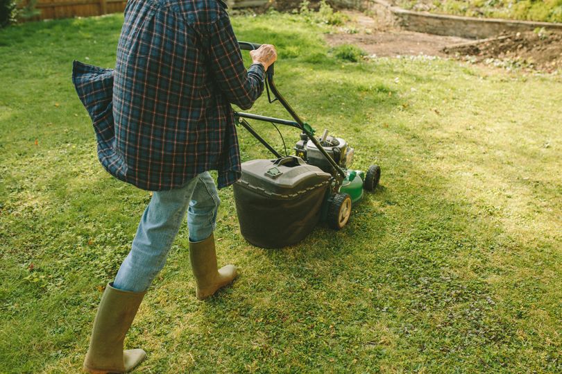 Exact date gardeners told is best time to mow lawn and avoid simple mistake