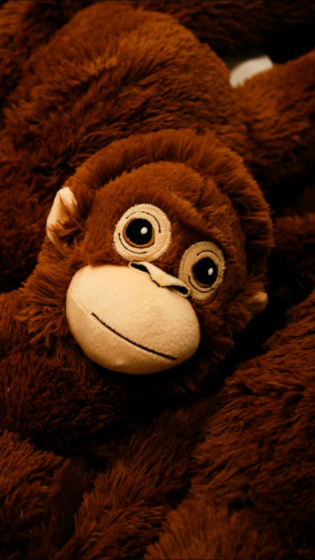 Pourquoi ce qui est mignon suscite-t-il notre empathie?