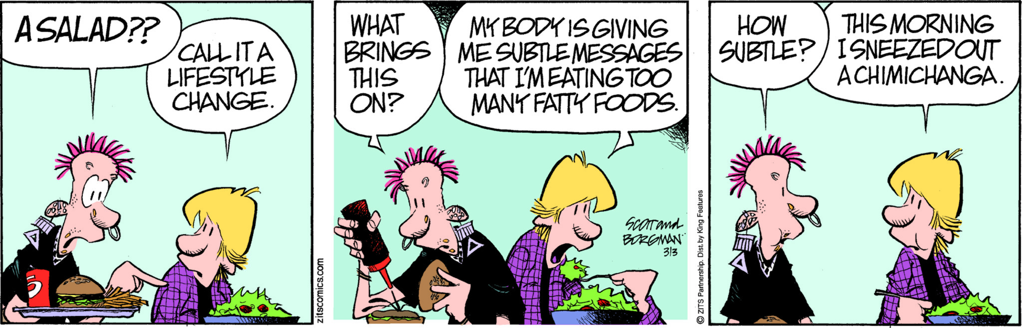 Zits by Jerry Scott and Jim Borgman