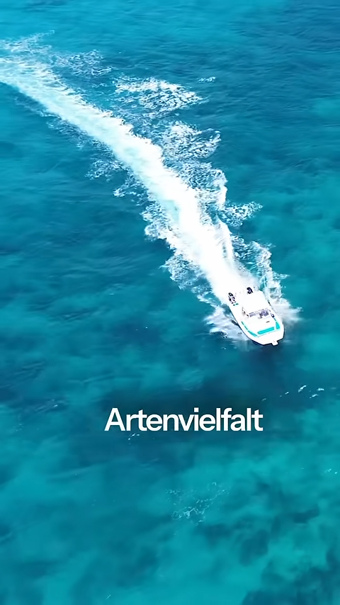 Einheimische Fischer trauen ihren Augen kaum 🤯!
