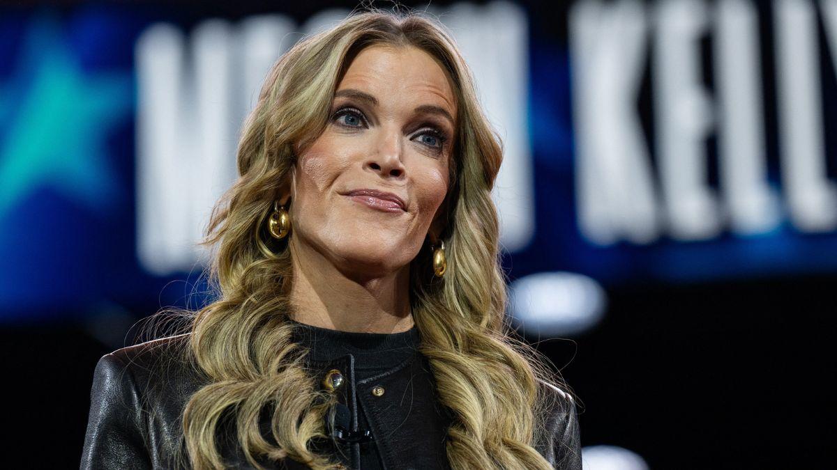 Megyn Kelly goes off on The View's 'know-nothing' Elizabeth Hasselbeck ...