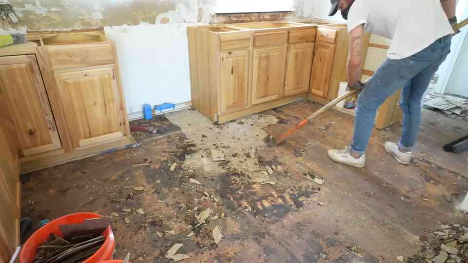 My wife hated the old vinyl floor - so I ripped it all out