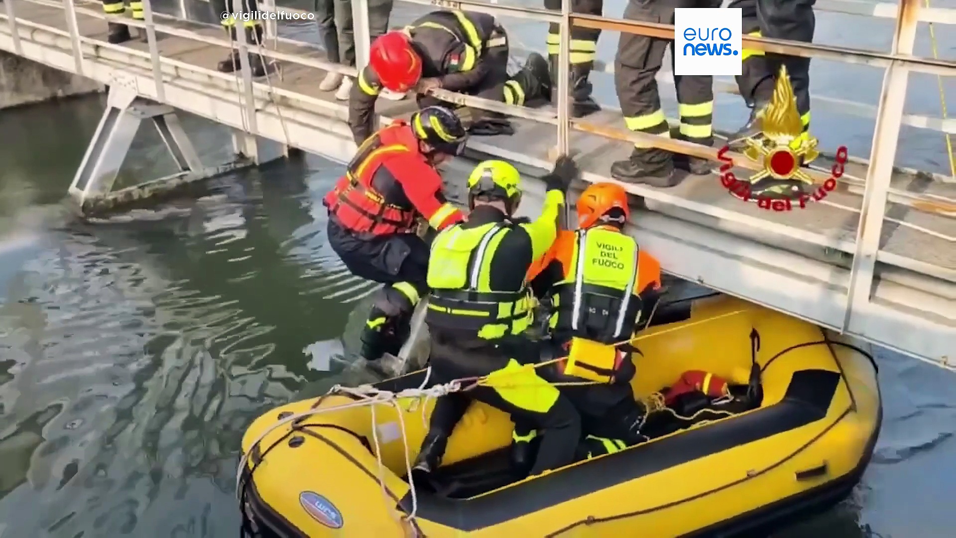 Watch: Firefighters rescue wolf trapped in canal in northern Italy