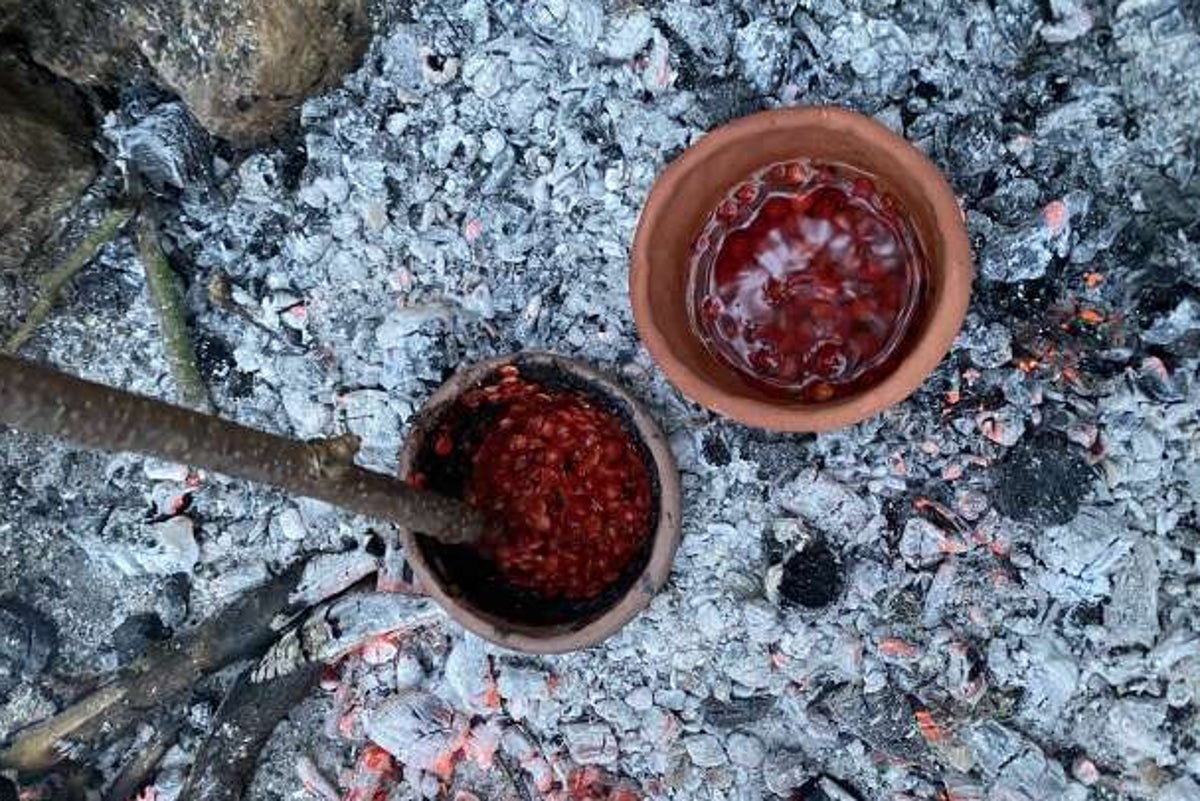 Pottery remains reveal secrets of ancient Europeans’ surprising diet