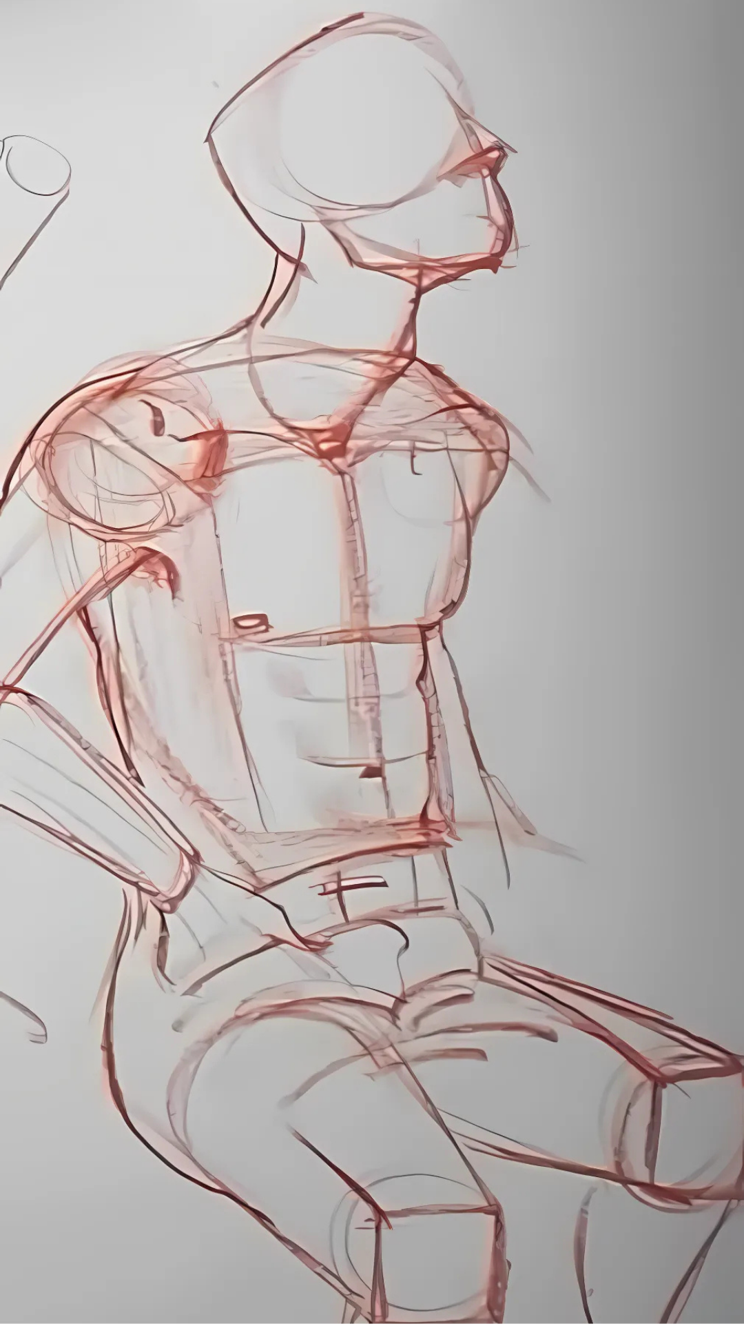 The secret to drawing a realistic male torso: A simple anatomy guide