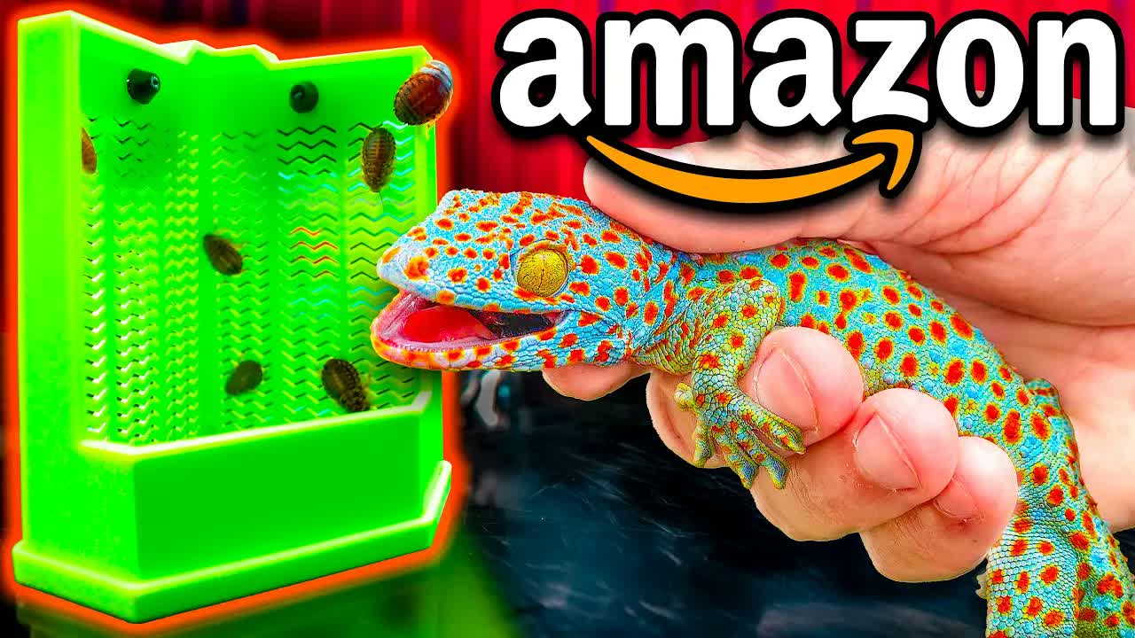 What reptile keepers discover when testing viral pet products