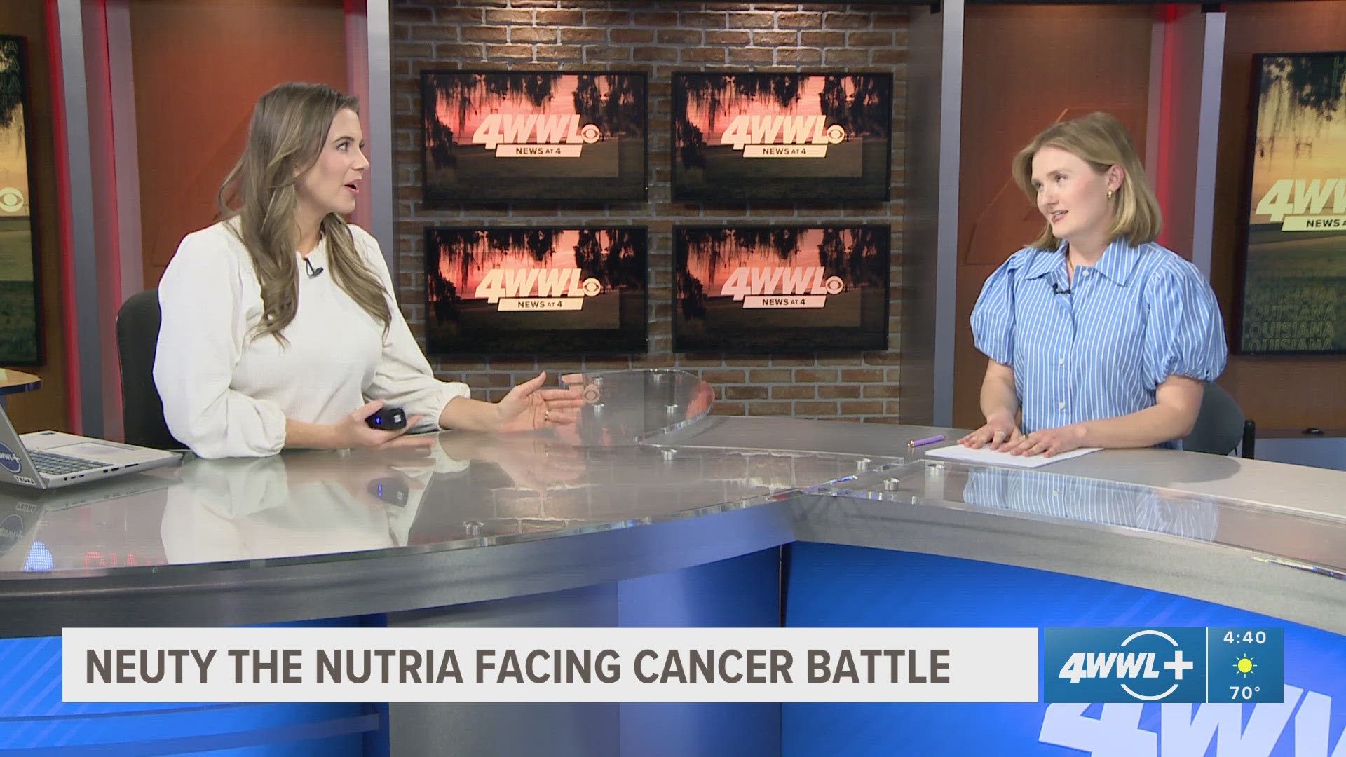 Bucktown’s Neuty the nutria still swimming after cancer diagnosis