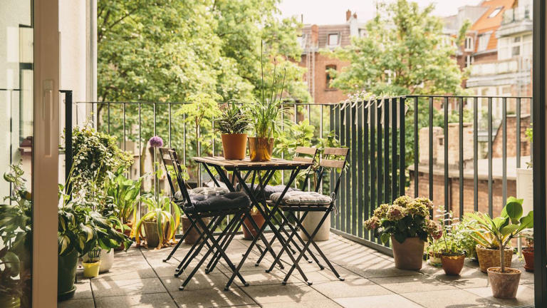 How to harness a cottage garden mood in containers, and give your tiny ...