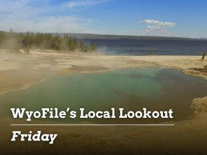 Local lookout: Social media addiction | Aggressive driving | More pets ...