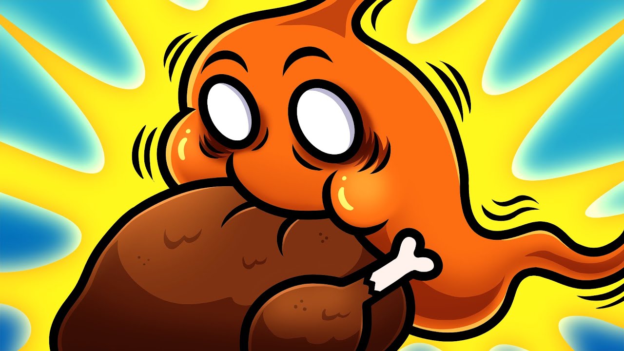 Why am I always hungry? Let's find out!