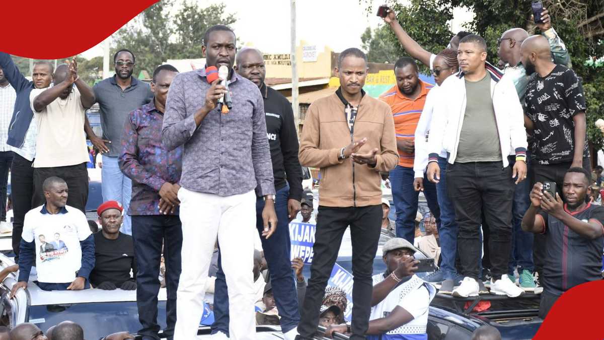 Political parties registrar rejects Wanyonyi’s bid to register Linda ...