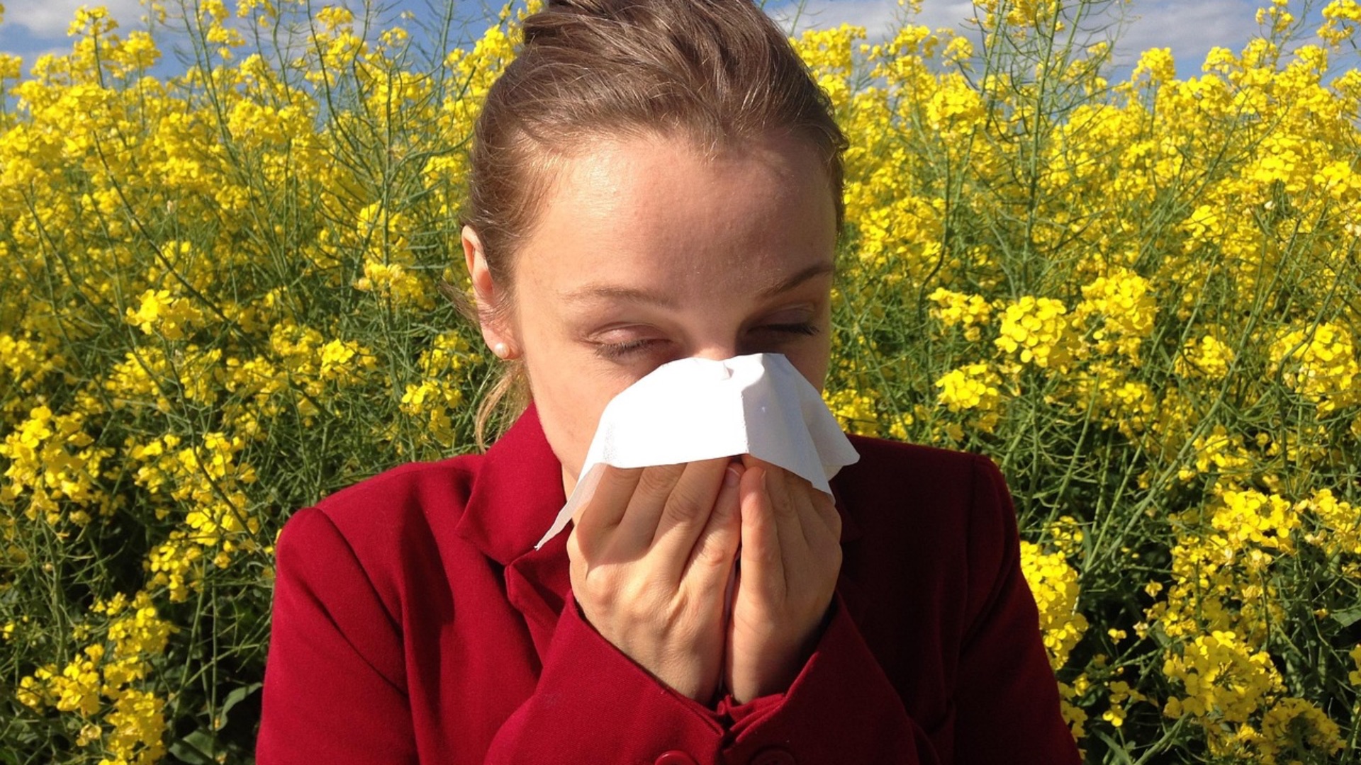 Achoo! 10 common sneezing triggers & 10 tips for fast relief