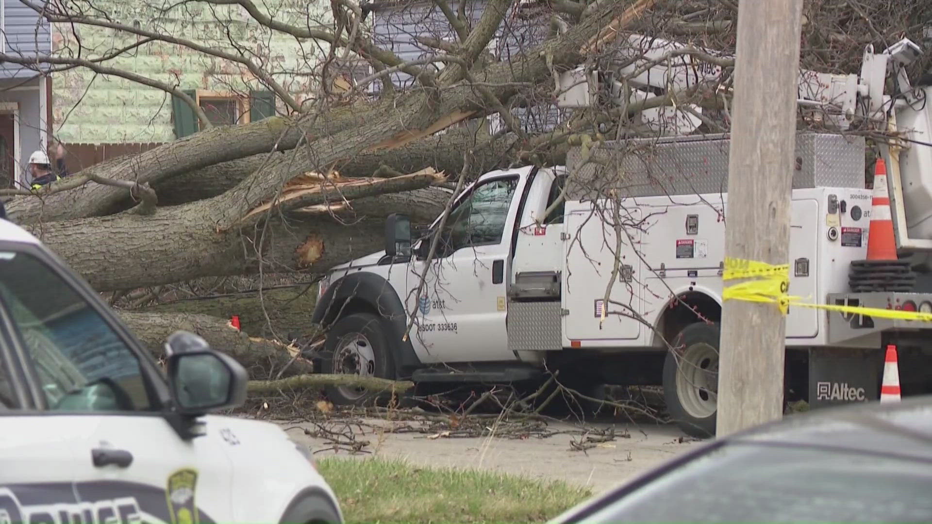 Winds knock down tree in north Toledo