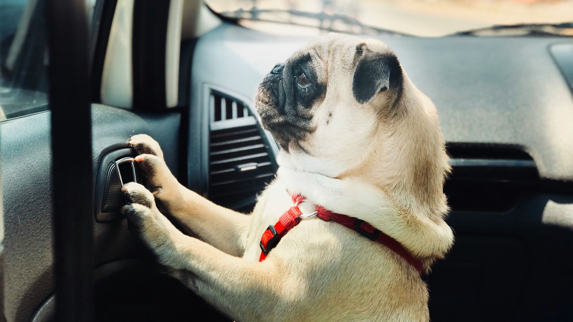 What is that? 20 reasons your car smells weird
