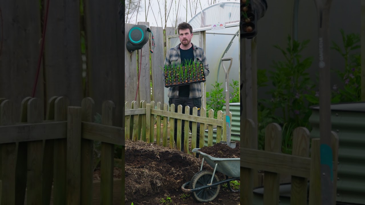 Food inflation is making growing your own more valuable each year!