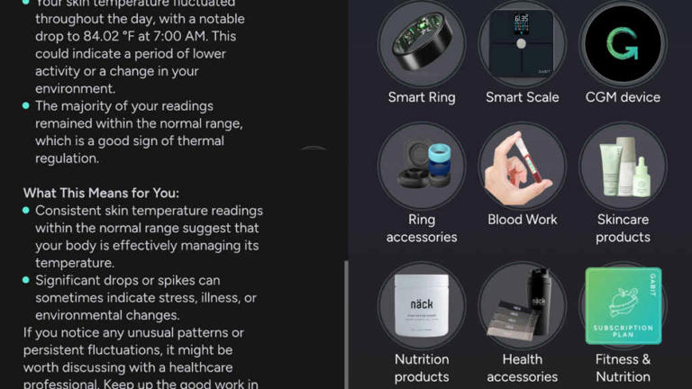 Gabit smart ring review: Good habits take time, not a timepiece