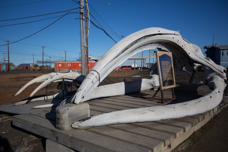 Inside America’s most isolated Arctic town with no roads to the outside ...