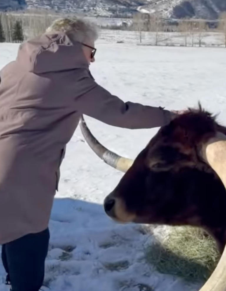 Formula 1 legend Lewis Hamilton reveals he is beginning a farm at ...