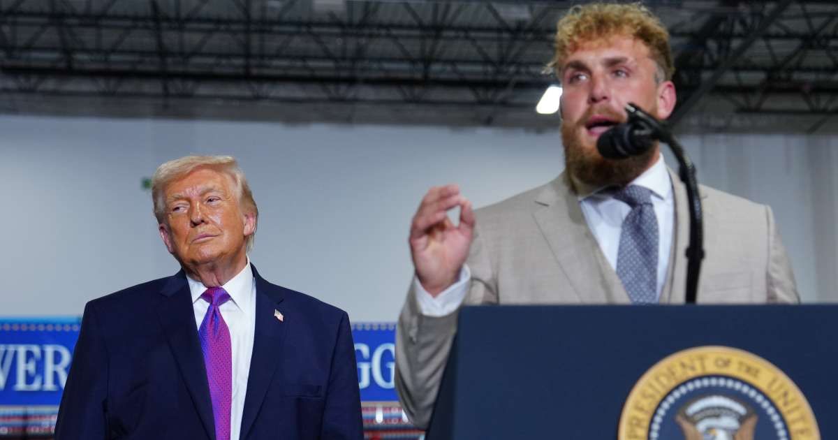 Trump tells Jake Paul about Butler assassination attempt, recalls ear ...