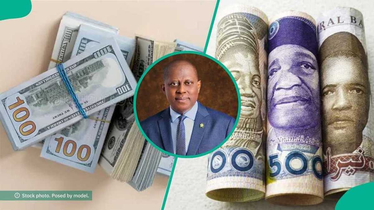 What the new CBN FX rules mean for travelers, students, exporters and ...