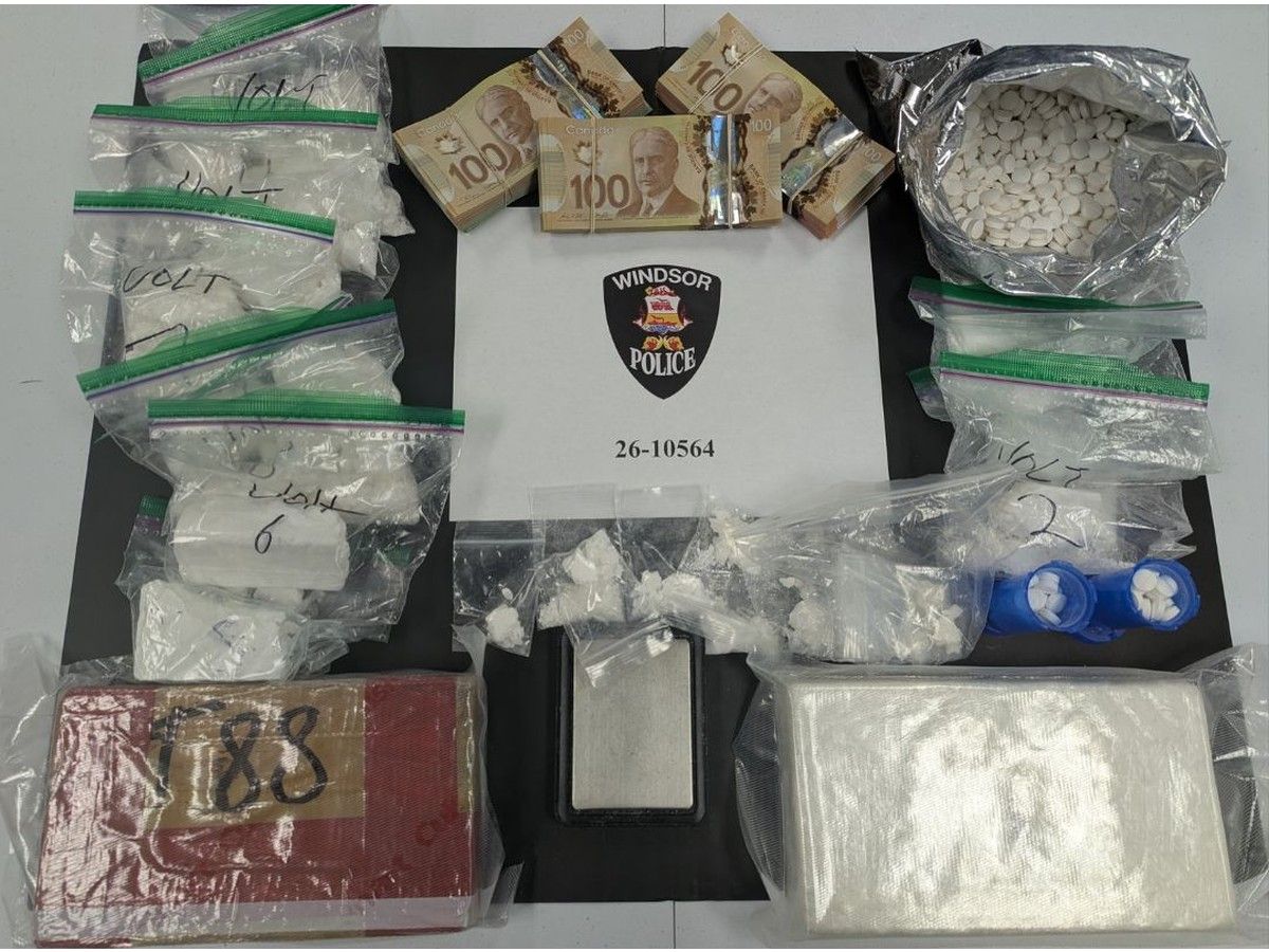 Windsor police arrest one person, seize $338K in drugs, cash