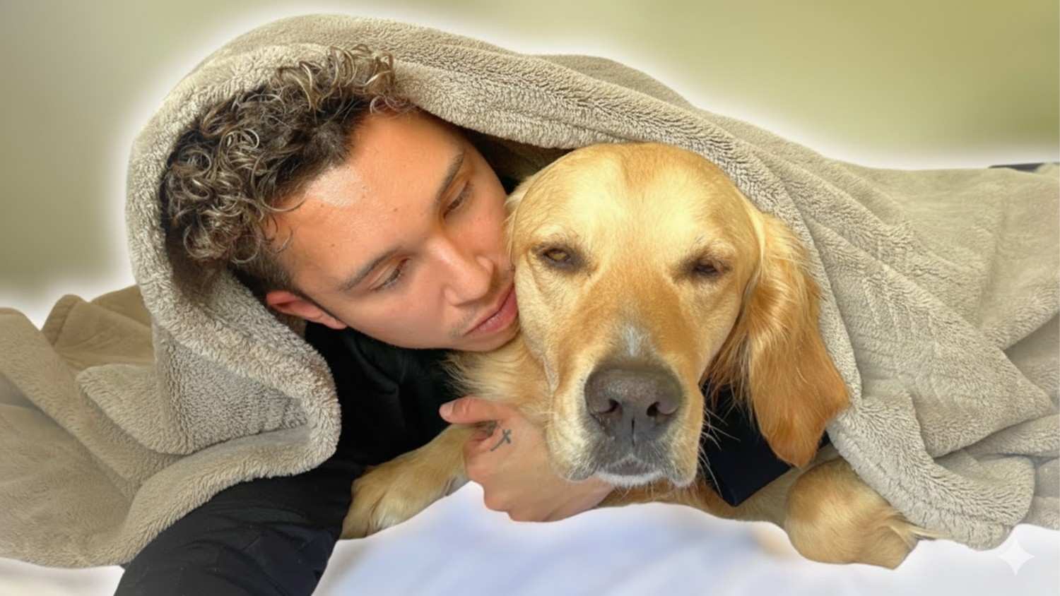 My golden retriever’s daily life revealed