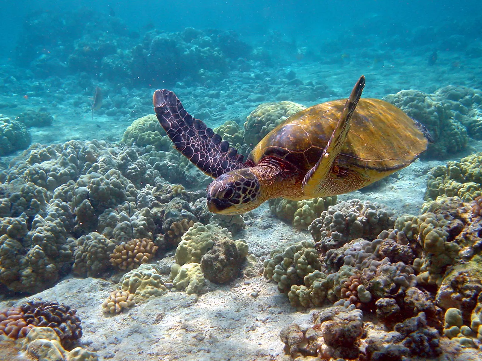 The "Don't move" list: 10 retirement destinations financial planners ...