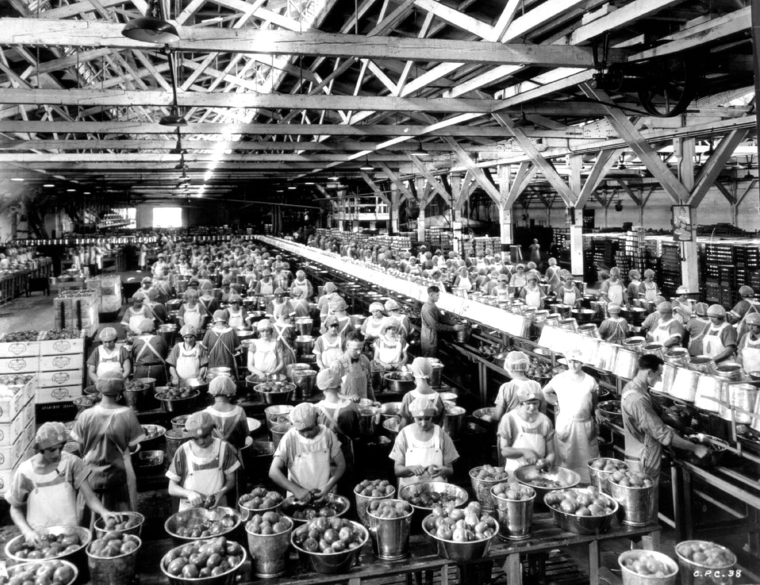 History of work: 18 fascinating professions from the last century