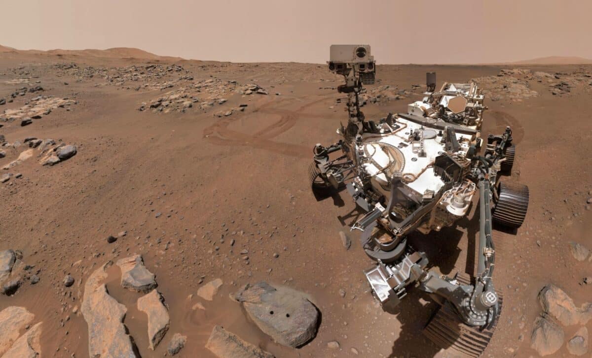 Scientists have released NASA rover photos showing possible insect and ...