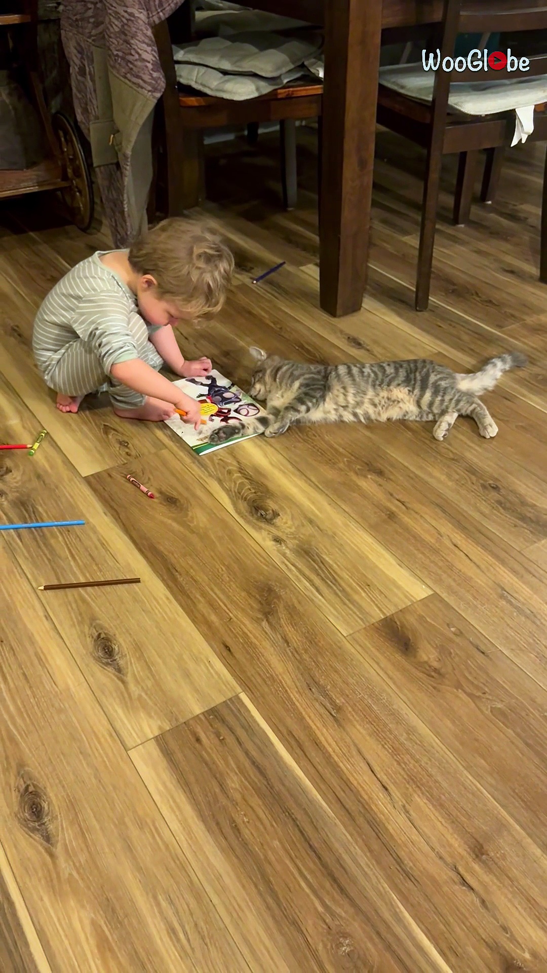 Toddler and cat share sibling rivalry vibes as playful moment unfolds ...