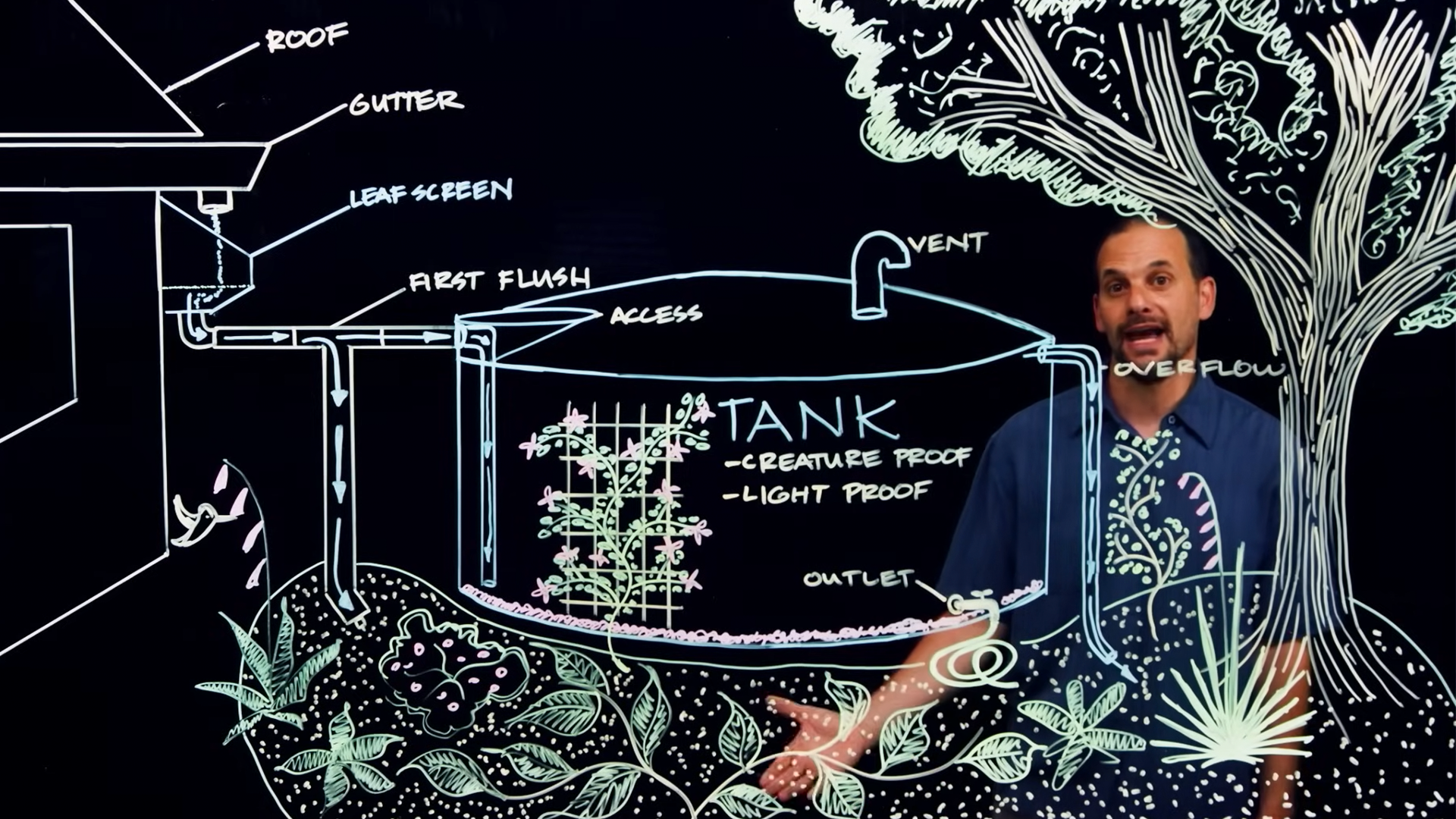 Discover rainwater secrets for your home