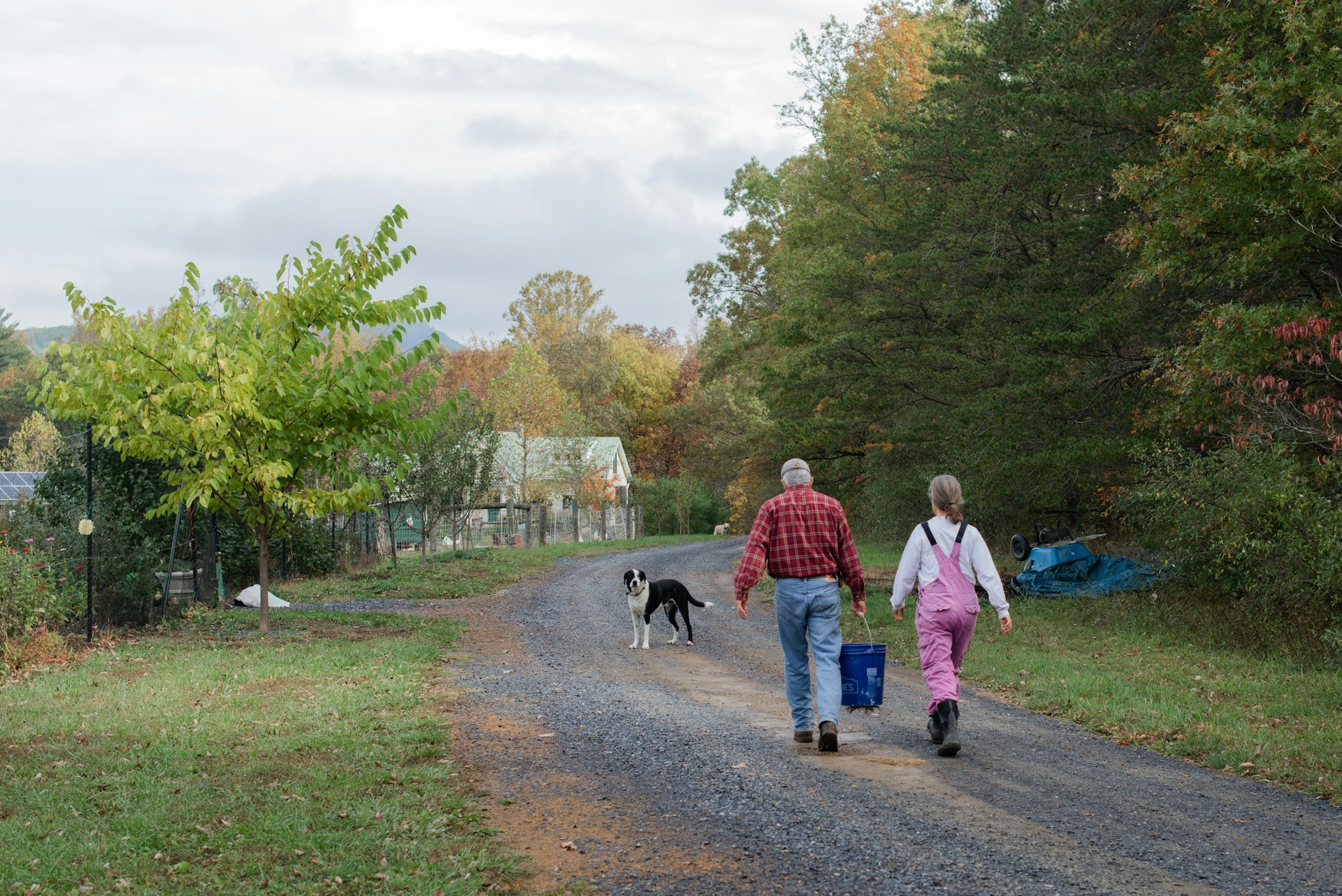 The boomer brain drain: What happens when a generation of expertise ...