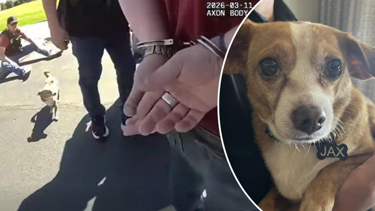 Scottsdale police reunite stolen chihuahua with owner nearly a year later