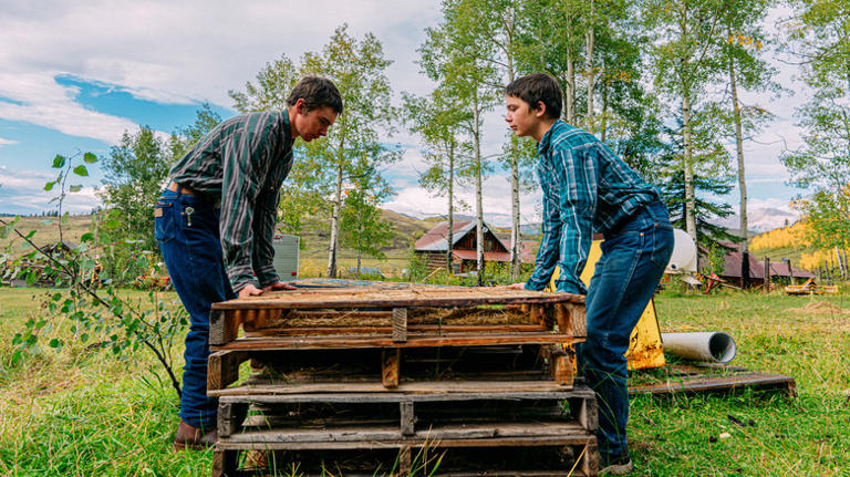 Turn old wood pallets into a backyard shed that changes your outdoor space