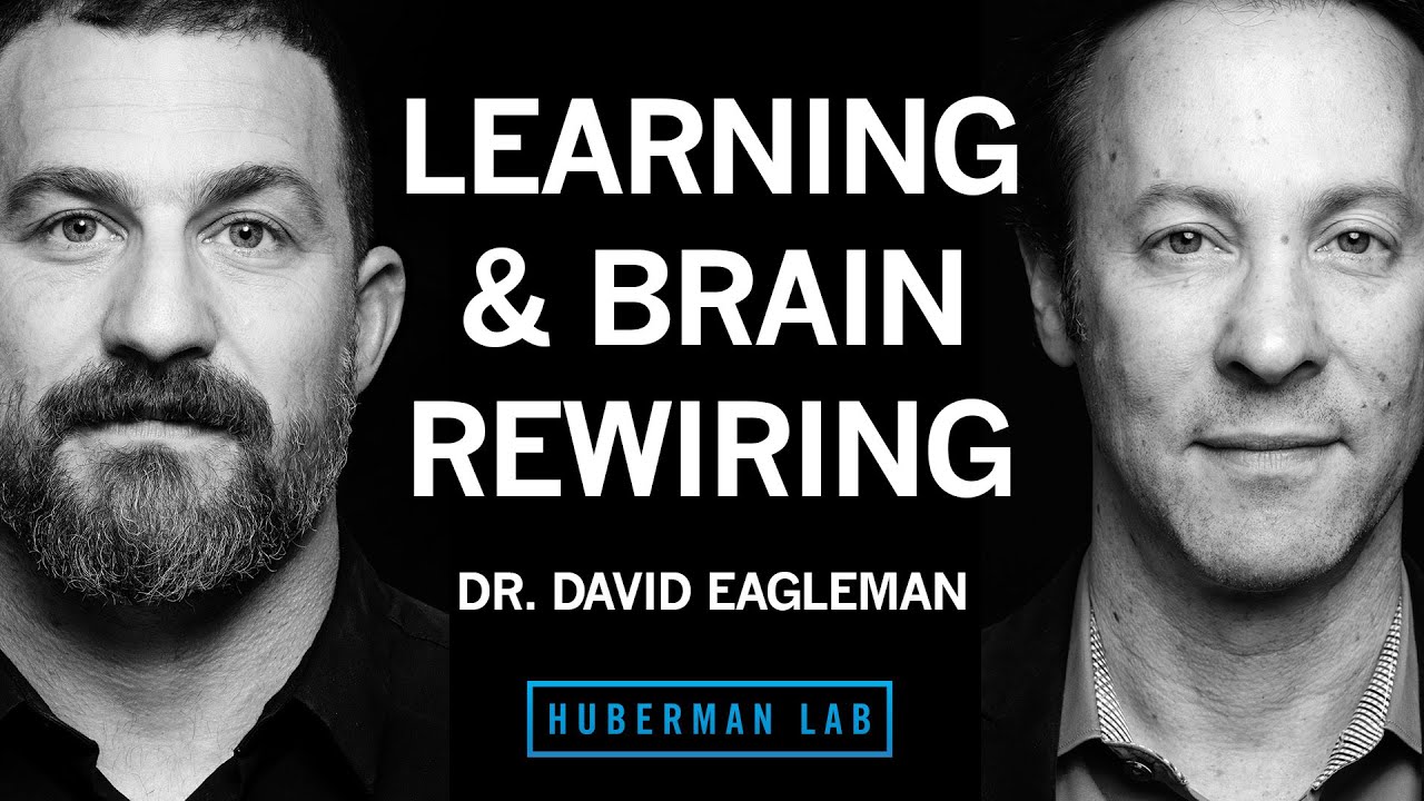 Science & tools of learning & memory | Dr. David Eagleman