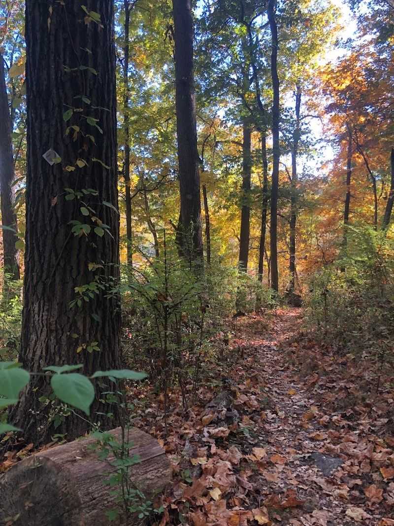 This New Jersey wilderness will surround you with over 200 species of birds
