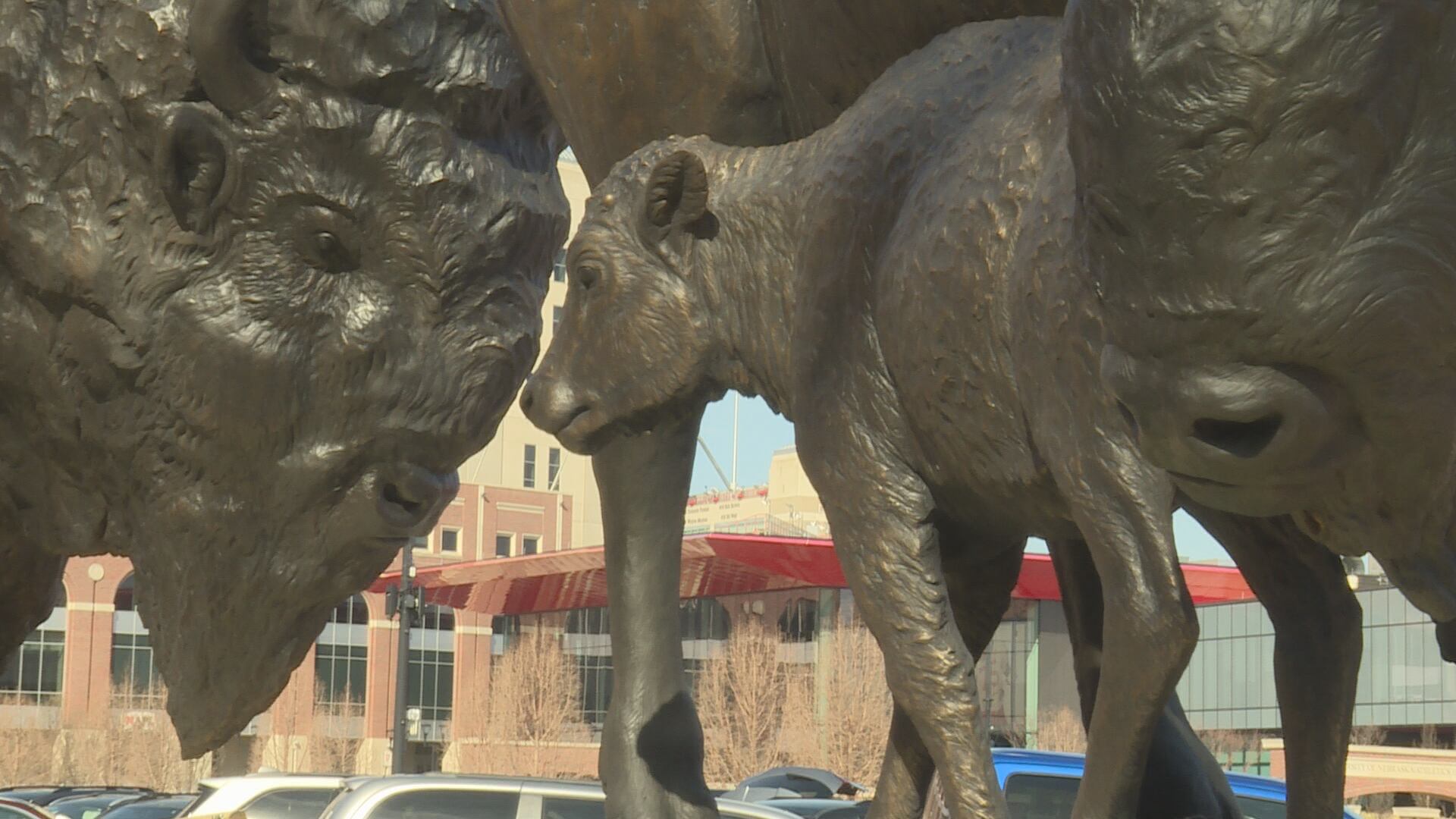 Bronze bison sculptures stop at UNL on cross-country trip to Smithsonian