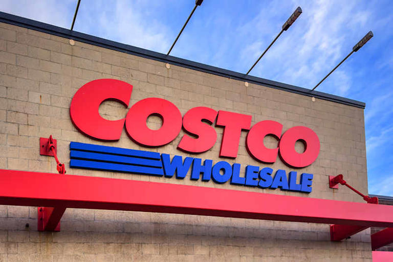 Costco's $48 Hulken bag dupe is finally back in stock