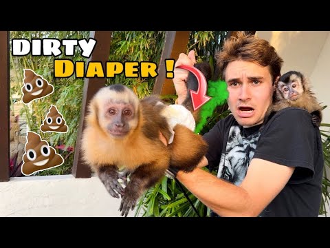 CHANGING My MONKEYS DIAPER ! What’s Inside