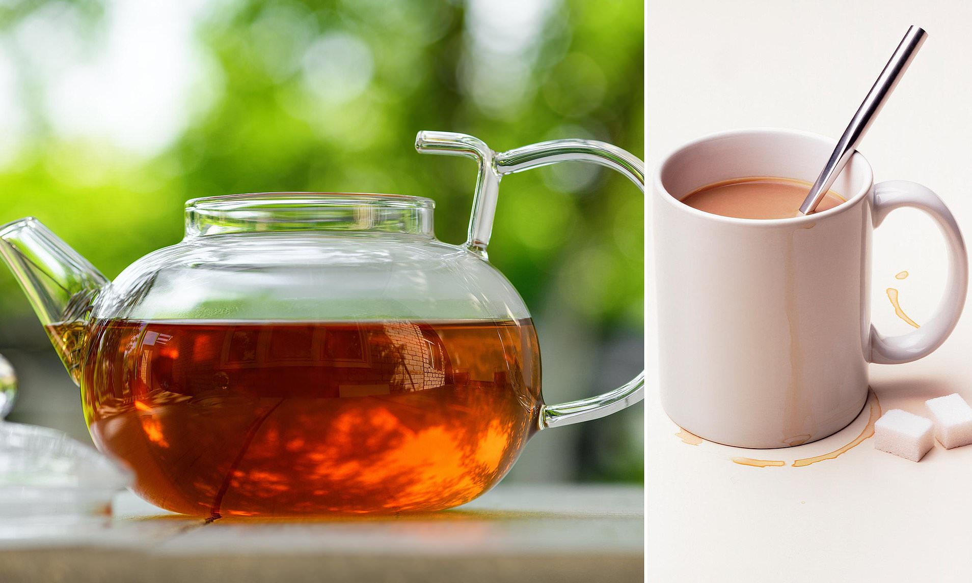Brewing a cuppa in a glass teapot makes it healthier than an ...