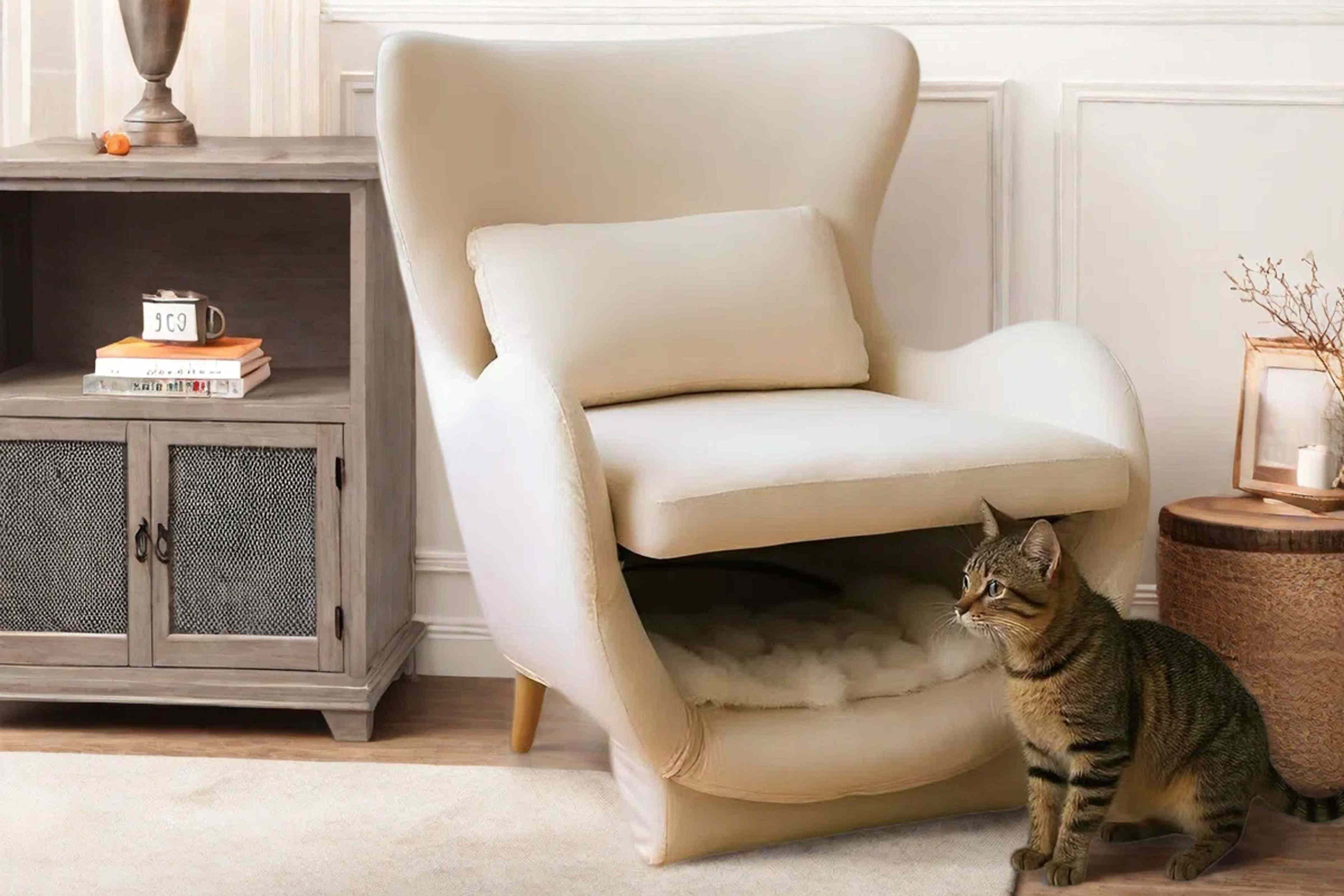 I'm a home expert, and these 8 Wayfair pieces impressed me with their ...
