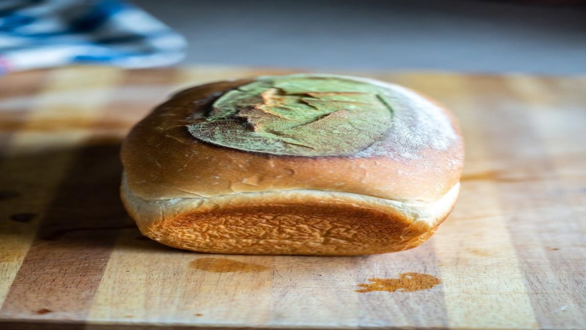 Could eating expired bread make you sick? Experts warn some loaves ...