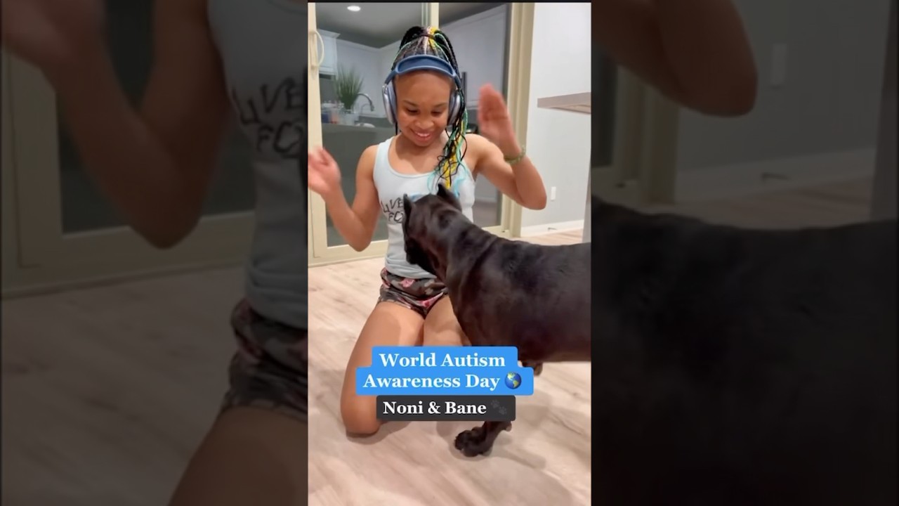 Families with autism find comfort in giant dogs in the house