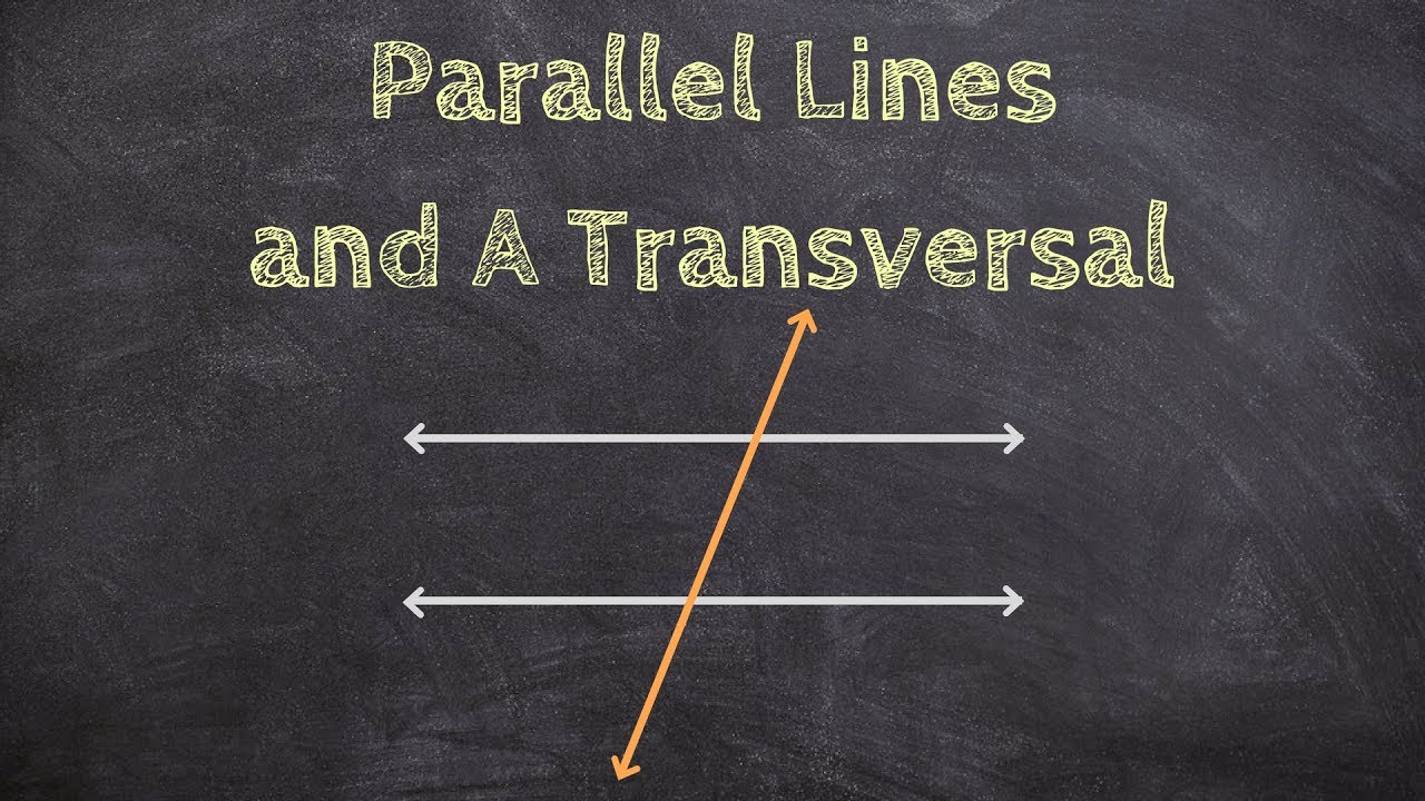 The angles created from lines and a transversal