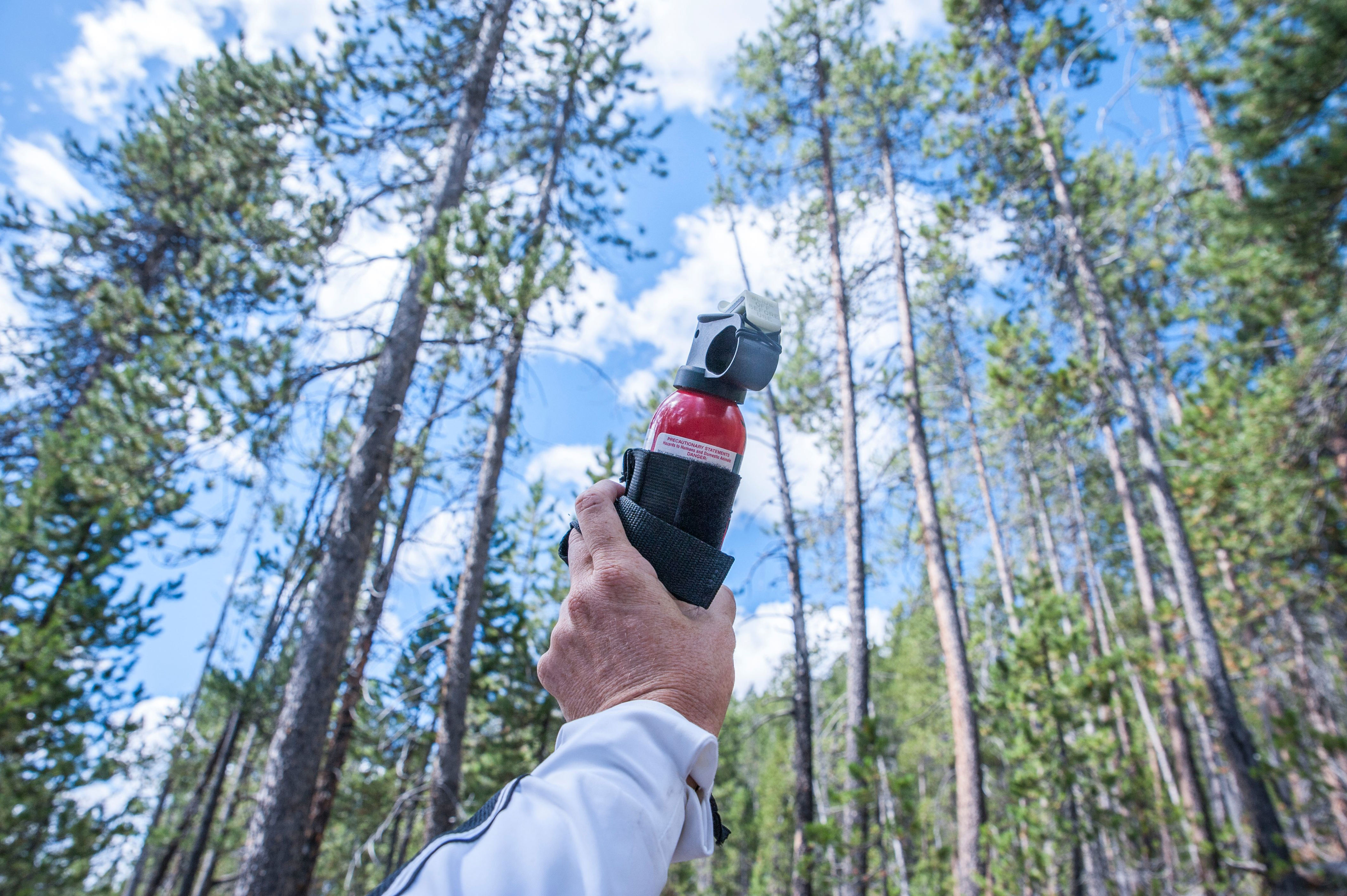 Yosemite National Park's strict bear spray ban isn't going anywhere as ...