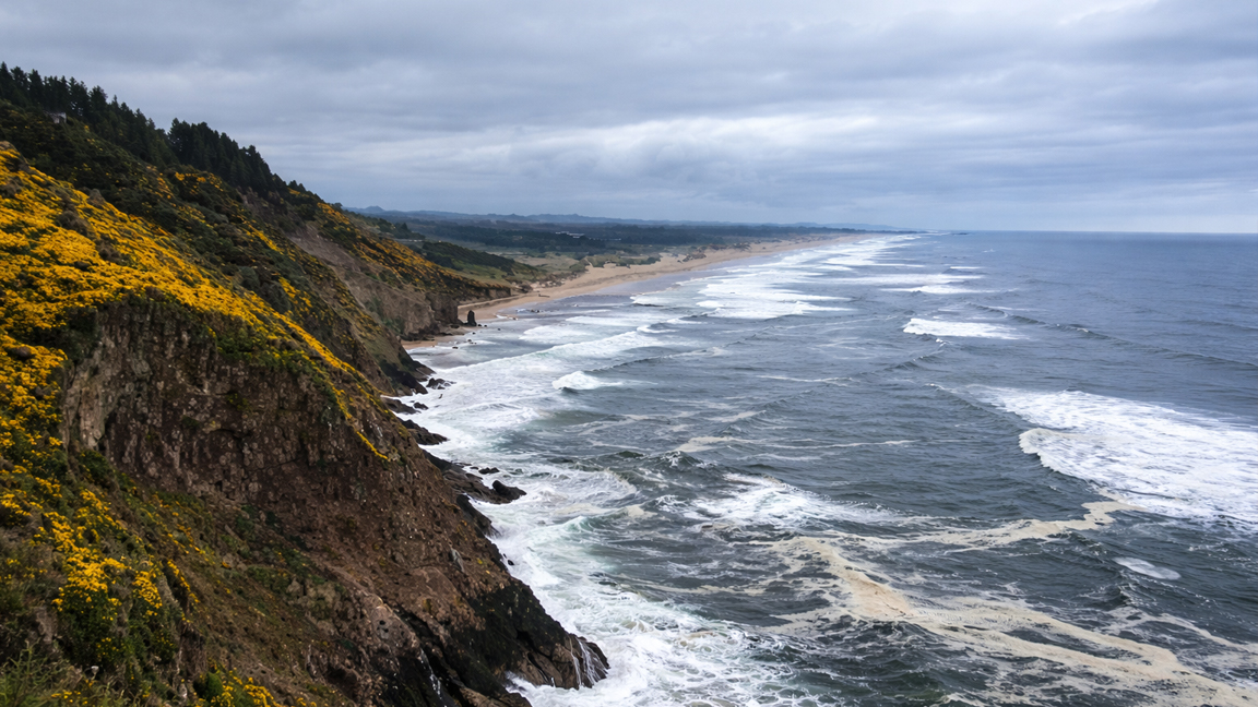Dramatic ocean cliffs overlooking a long untouched beach