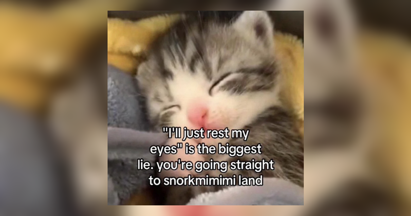 28 memes to rush through