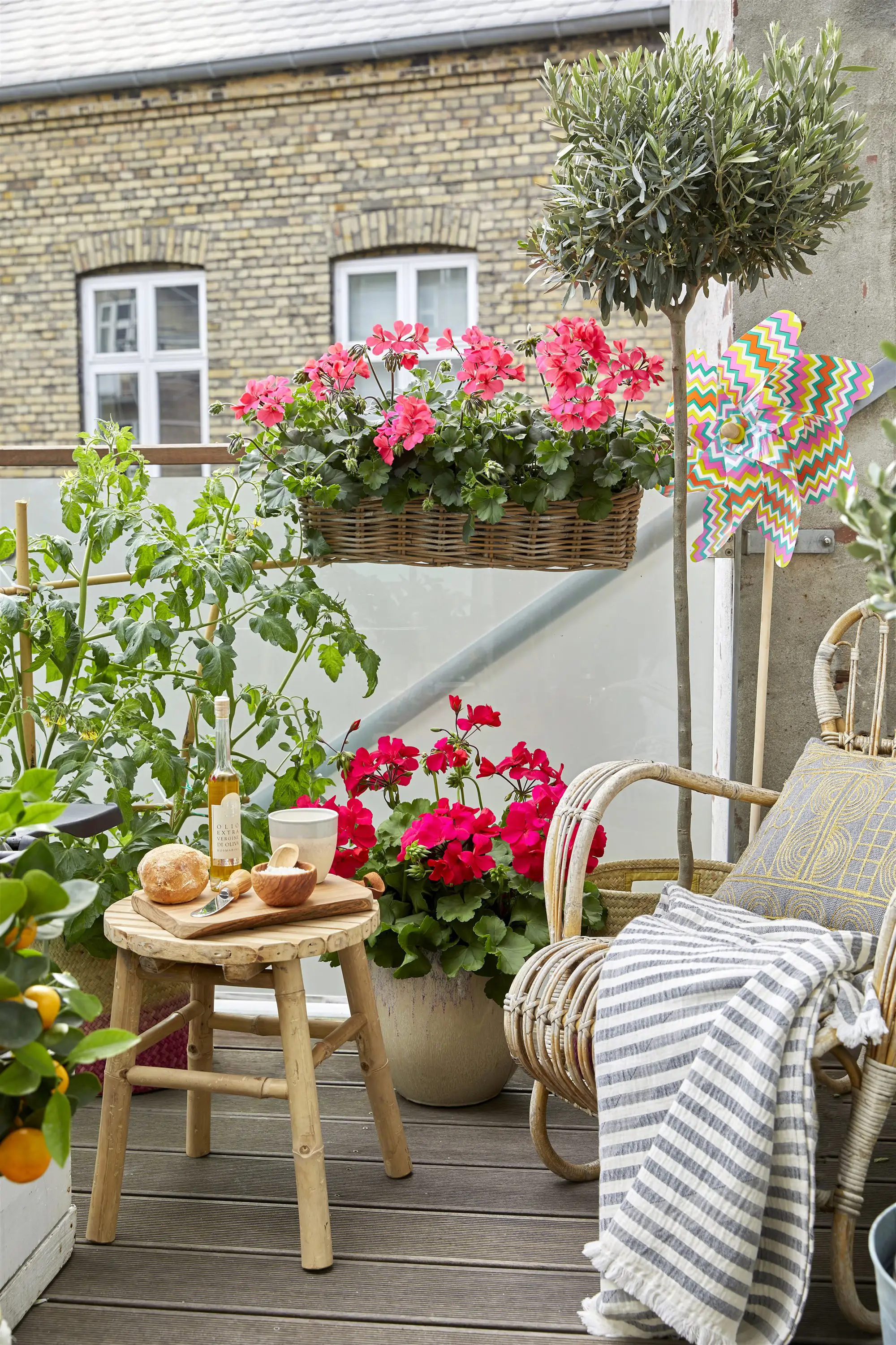 16 plantas de exterior con flores para llenar tu jardín o terraza de color