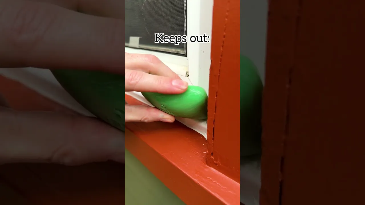 Easy pest deterrent! 🧼 #pestcontrol #soap #bugs #hometips #windows