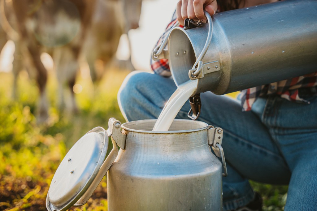 Raw milk is more popular than ever before, but this is why it’s banned ...